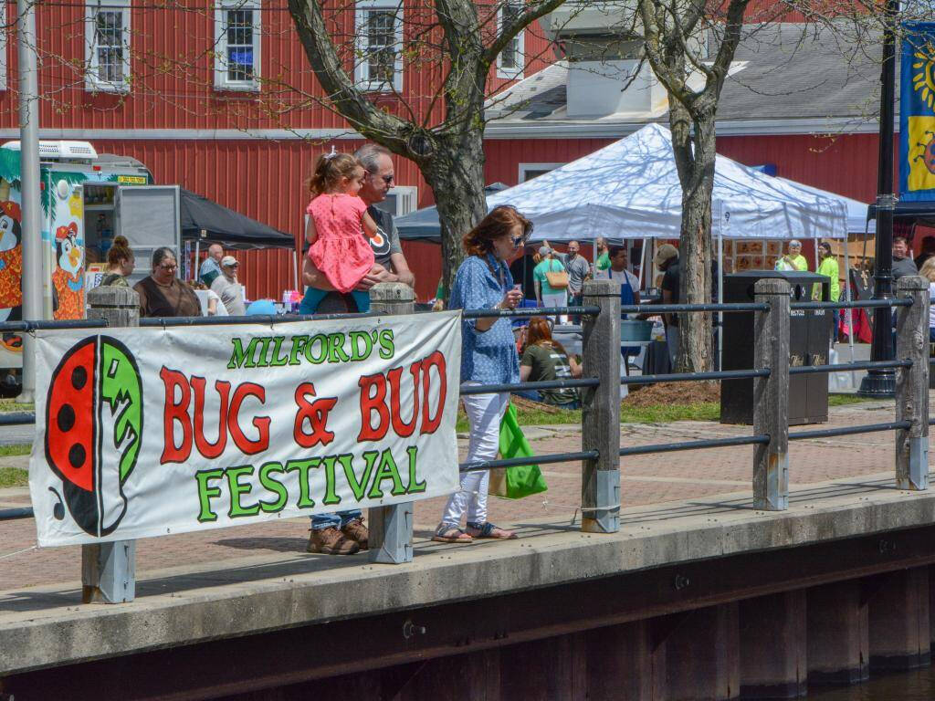 Bud & Bug Festival | Downtown Milford, Inc.
